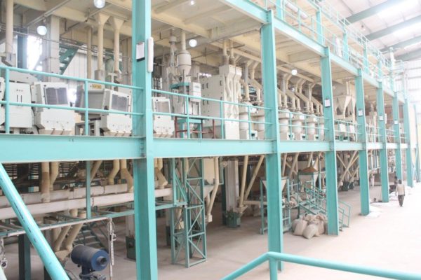 Stallion Group of Companies | Agric Business