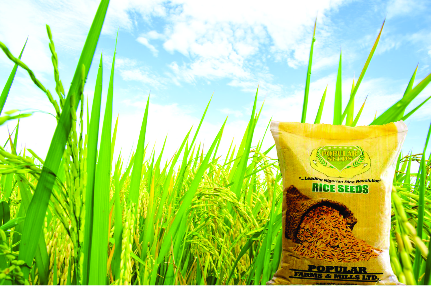 Stallion Group of Companies | Pride Of Africa